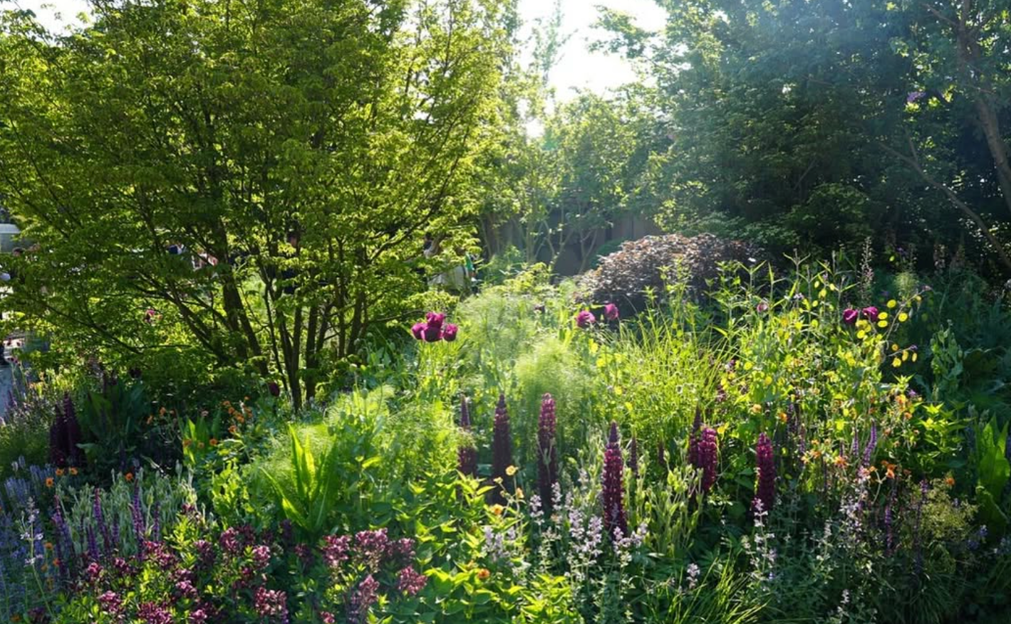 Boost Sleep and Energy: Reset Your Circadian Rhythm with a Nature Walk